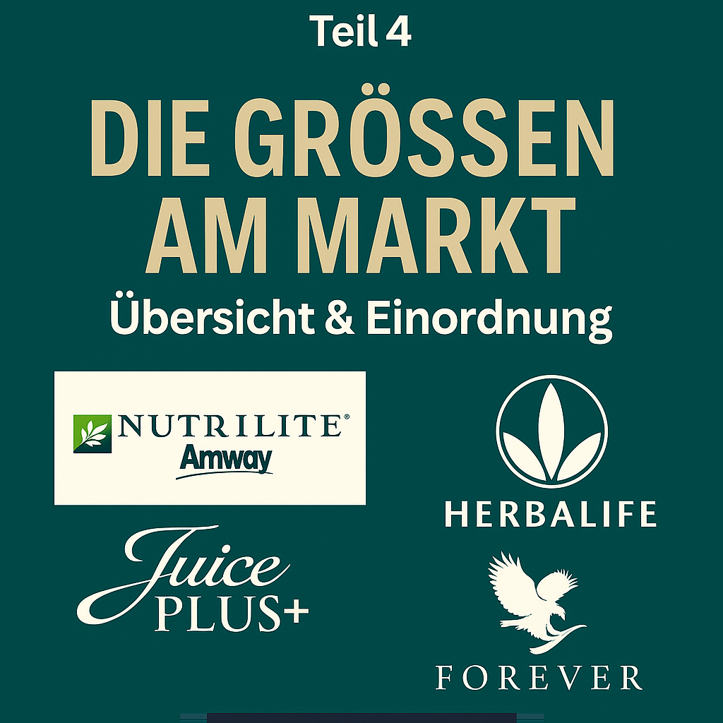 Teil 4 – Große Player im NEM‑Markt: Überblick & Einordnung – Fak-Fakten